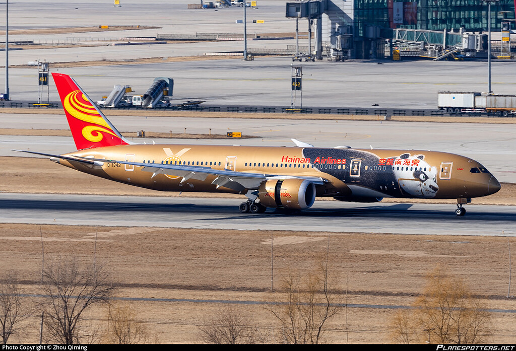 CHH / B789 - Hainan Airlines (Kung Fu Panda (Gold) livery) - Livery ...