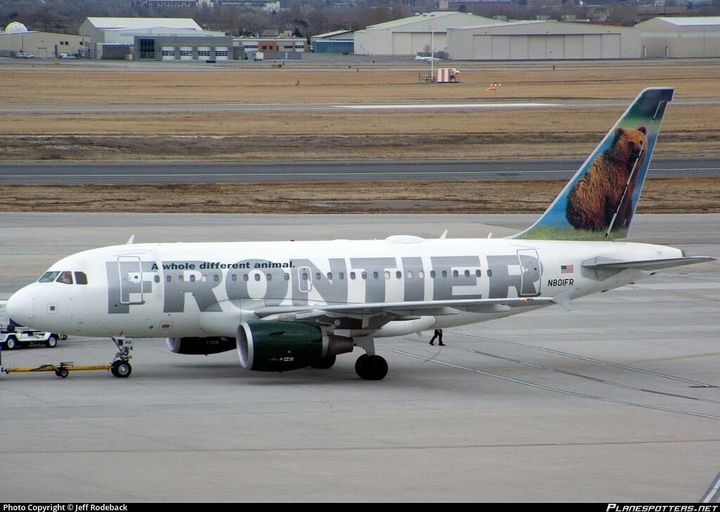 FFT / A318 - Frontier (Grizwald “Griz” the Grizzly Bear/Stu the Eastern ...