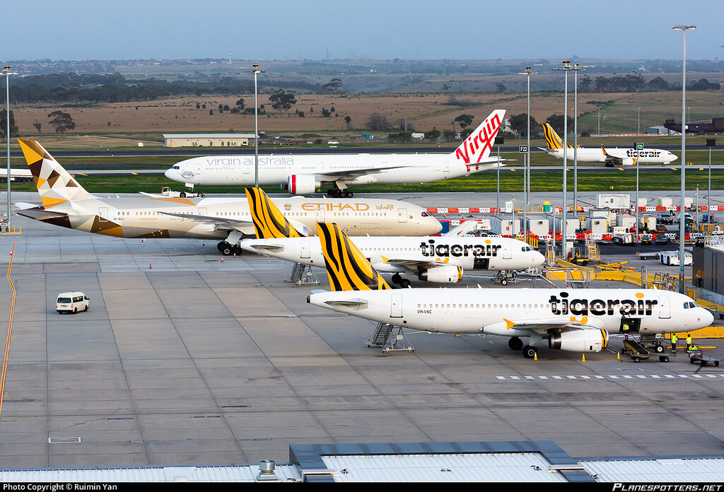 TGG - TigerAir Australia - Airline - World of Airports forum