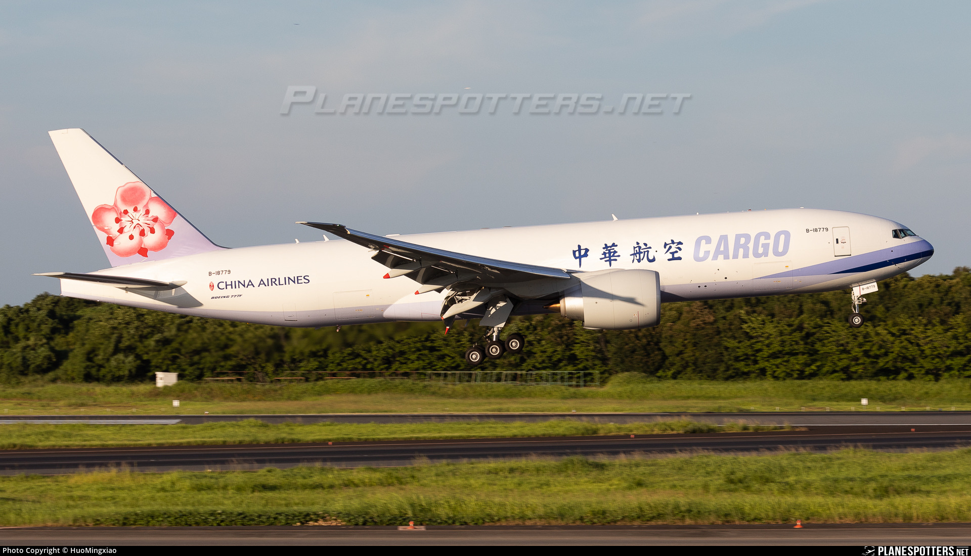 CAL / B77LF - China Airlines (Cargo New Livery） - Livery - World of ...