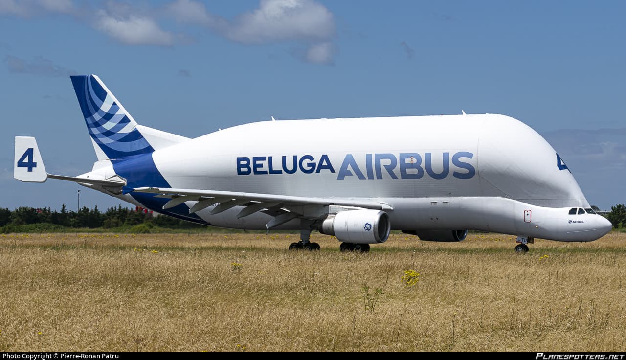 BGA / A3ST - Airbus Beluga 4 - Livery Suggestions - Flyboys.Games forum